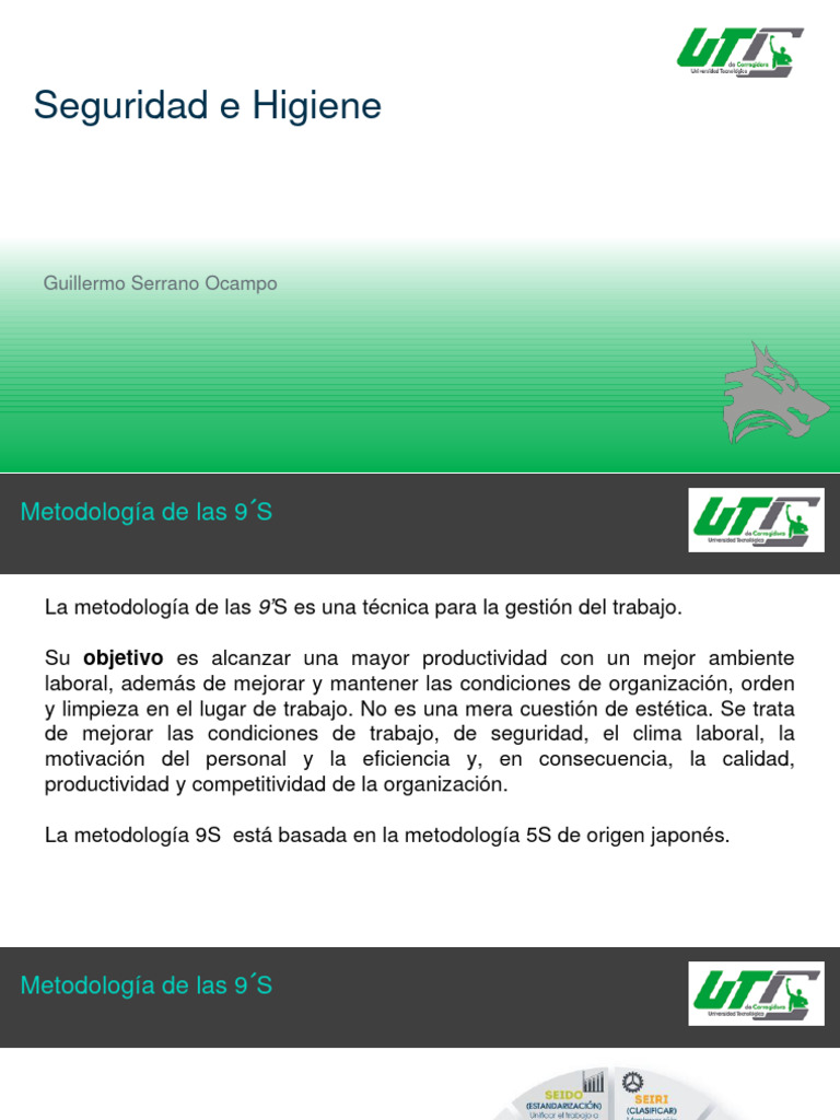 Metodología de Las 9S | PDF | Crecimiento personal y profesional ...