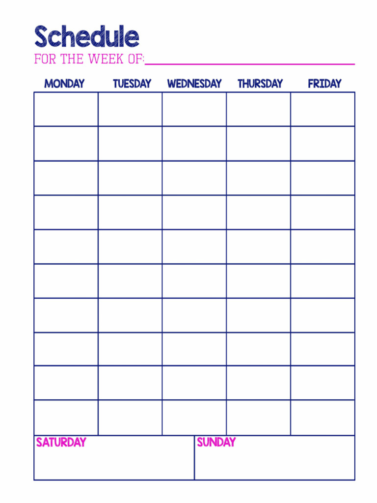 Planner Schedule Navy Pink | PDF