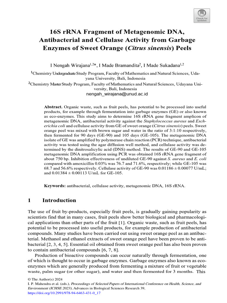 Wirajana DKK - Naskah Proseding ICHSE 2023 - Terbit 30 Mei 2024 | PDF ...