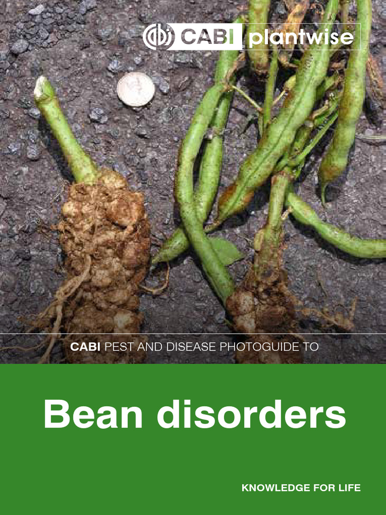 Bean Pest and Disease Identification Guide | PDF | Branches Of Botany ...