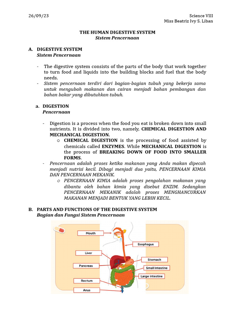 Module For Digestive System | PDF