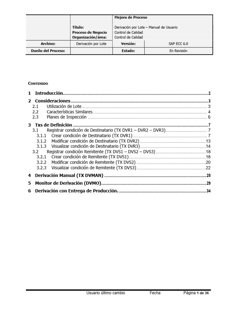 Derivación de Lote - 03 - Ejemplo Manual Usuario | PDF | Procesos de negocio