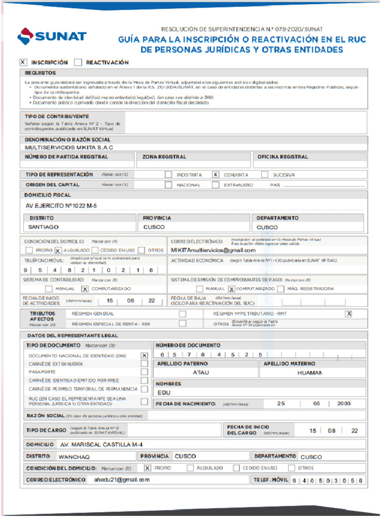 Inscripcion Al Ruc | PDF