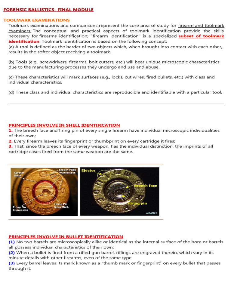 Forensic Ballistics and Toolmark Analysis | PDF | Gun Barrel | Firearms