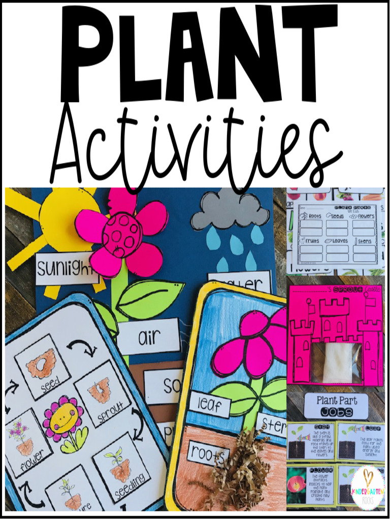 Engaging Plant Activities for Kids | PDF | Flowers | Plants