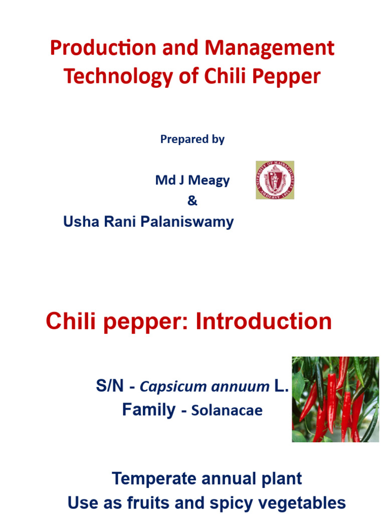 Chili Pepper | PDF | Capsicum | Chili Pepper