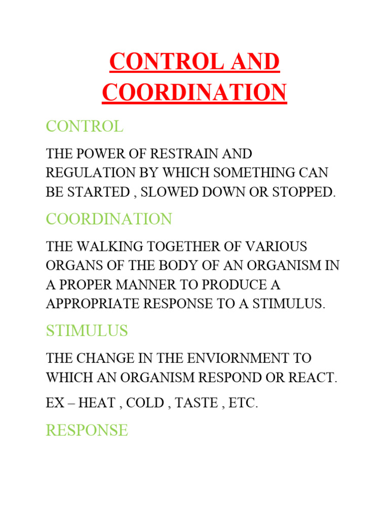 Control and Coordination | PDF