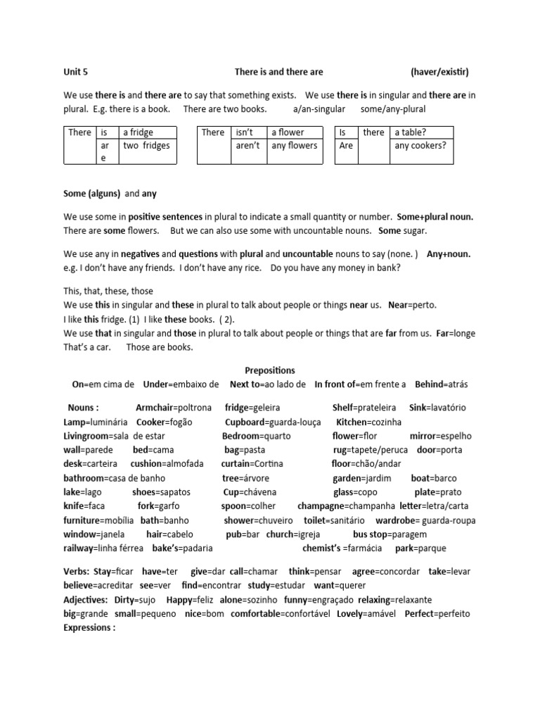 Unit 5 Student's Summary-24 | PDF | Plural | Noun