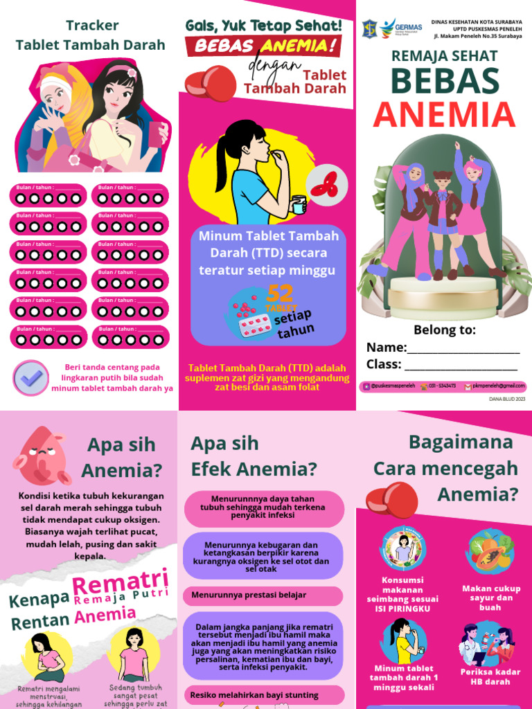 Panduan Tablet Tambah Darah Remaja | PDF
