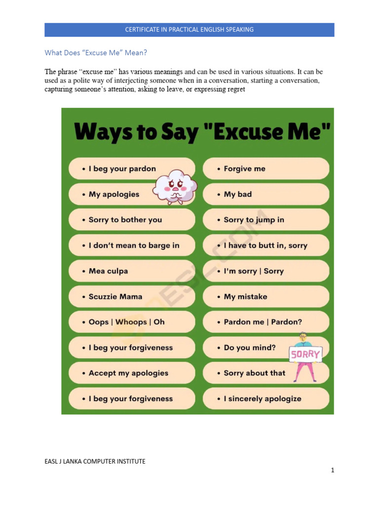 Ways to Say Excuse Me | PDF