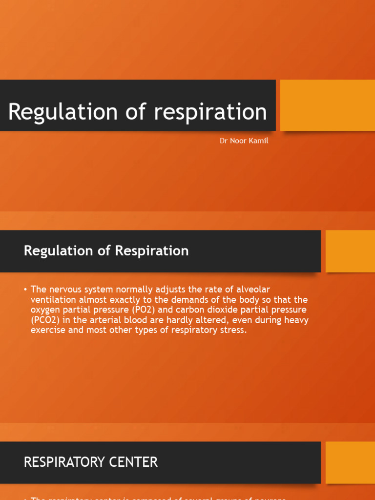 Regulation of Respiration & Respiratory Changes During Exercise | PDF ...
