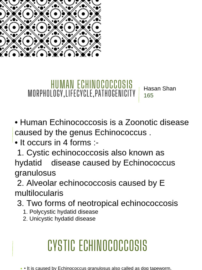 Human Echinococcosis Hasan Shan - PPTX 20240624 135322 0000 | PDF ...