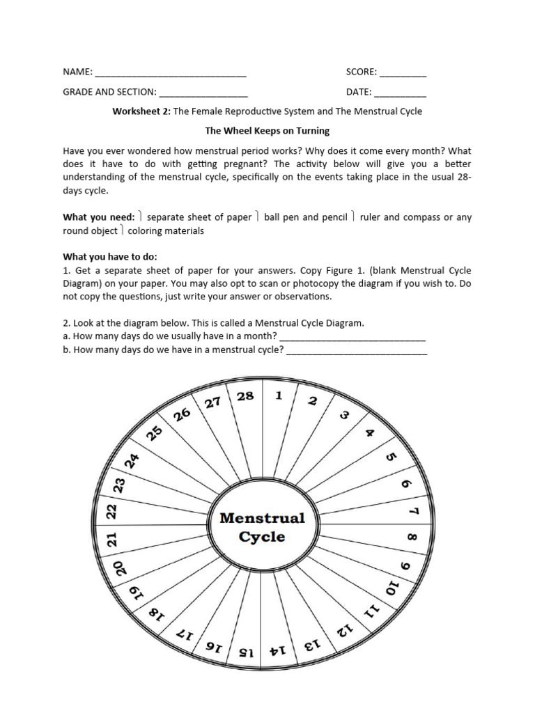 Worksheet_2_ReproductiveSystem | Download Free PDF | Menstrual Cycle ...