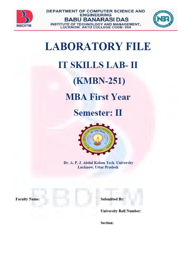 MBA Lab Format File | PDF