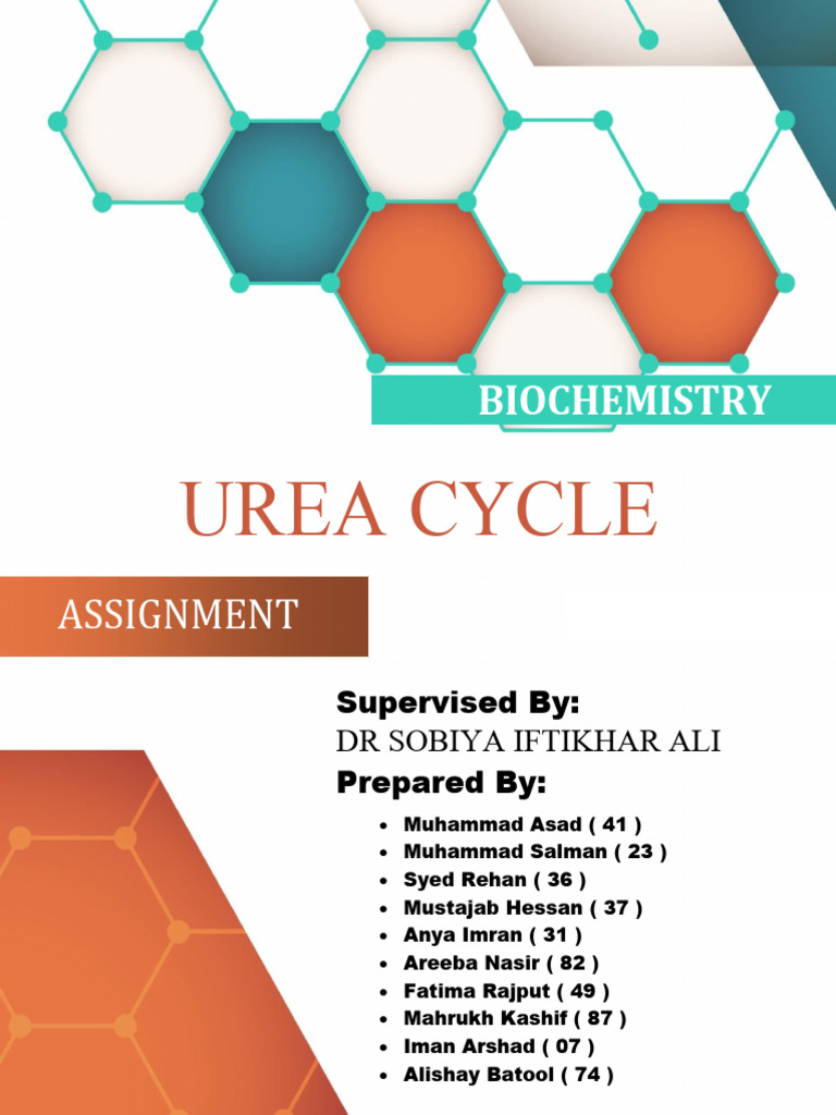 Assignment Urea Cycle | PDF | Science & Mathematics