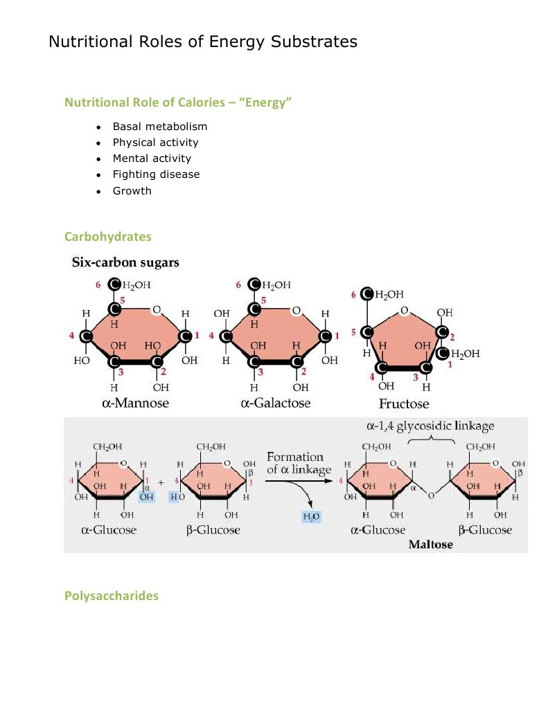 Energy Substrates Overview | PDF | Science & Mathematics