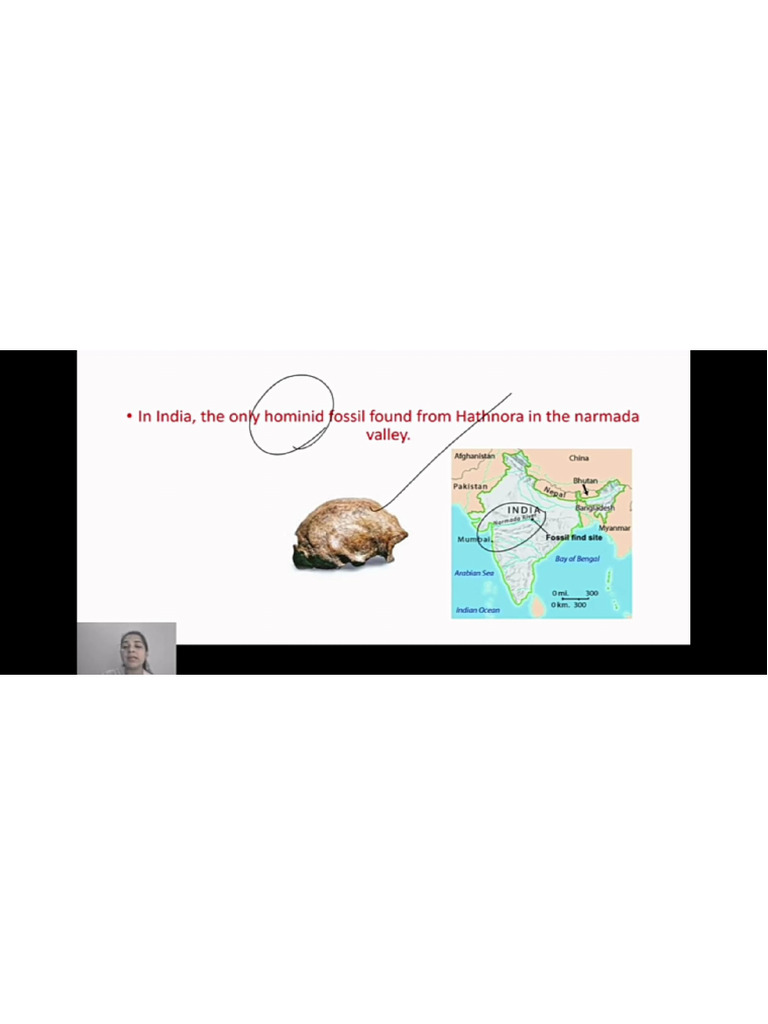 Human Evolution Class Note | PDF