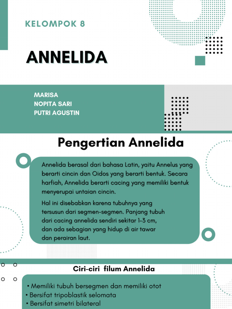Annelida | PDF