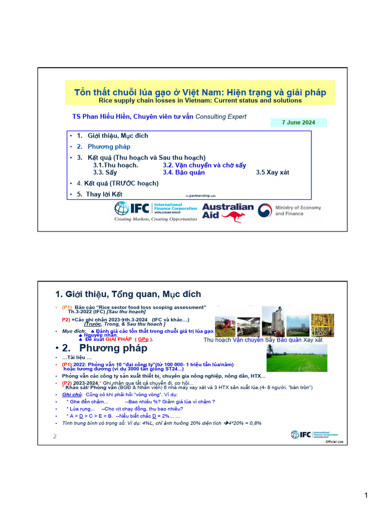 IFC-BCaoPhanHHien ForHandout RiceLosses | PDF