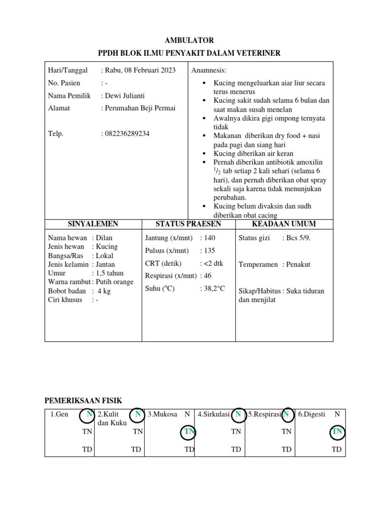 Ambulator Dok Suma Kucing Dilan Stomatitis | PDF | Kesehatan Holistik