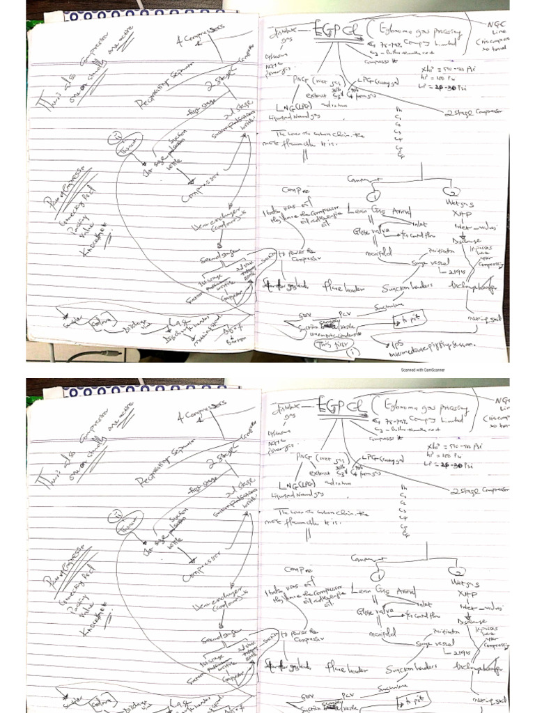 field jottings 1 | PDF