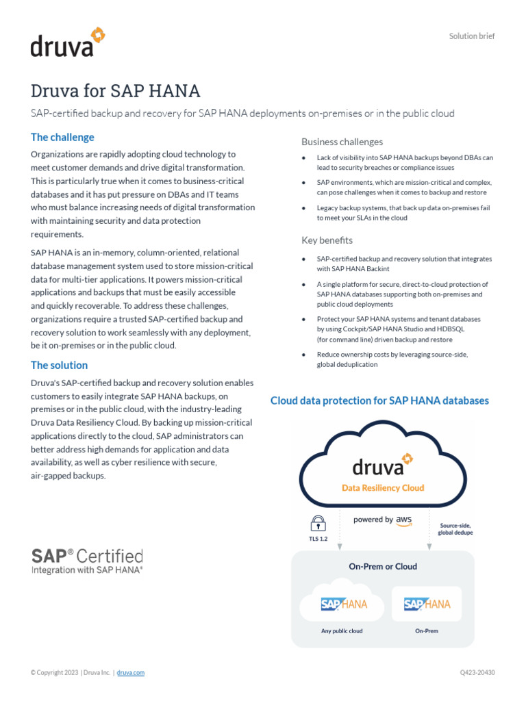Druva White Paper | PDF | Cloud Computing | Backup