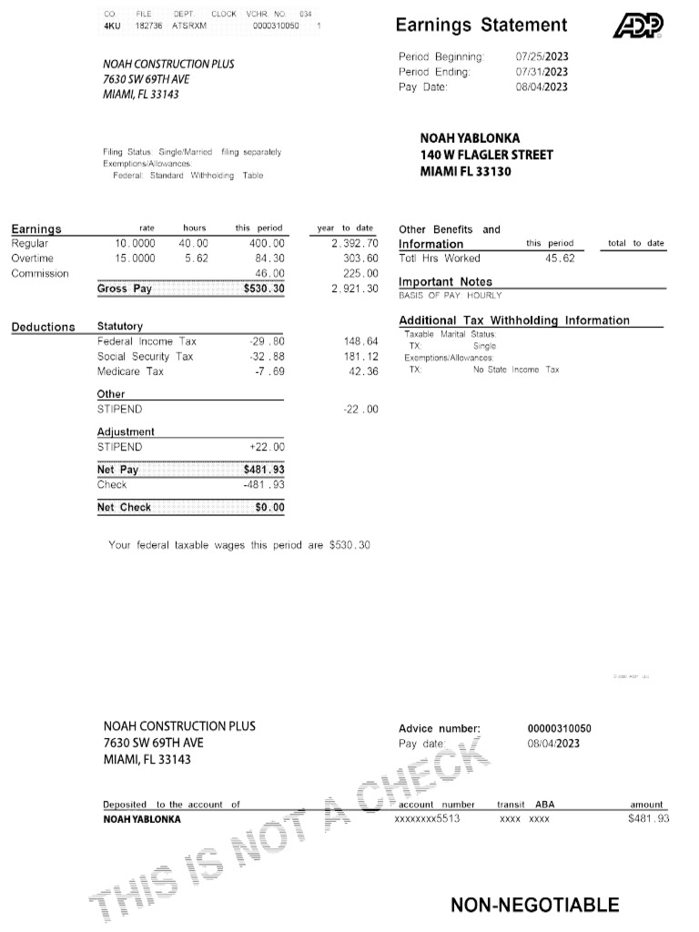 paystub real | PDF