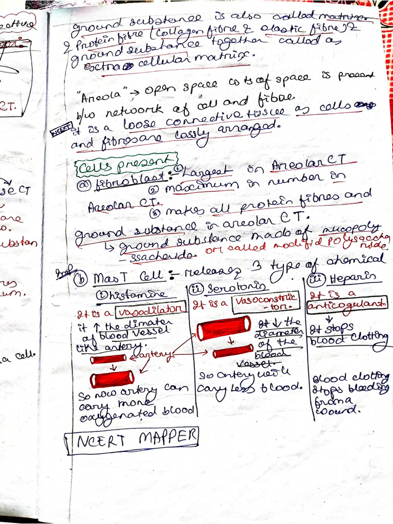 Nomesh Sir Structural Orga Note | PDF