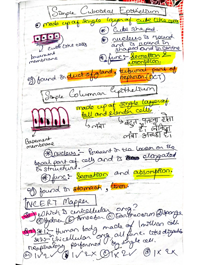 Nomesh Sir Dropper Batch | PDF