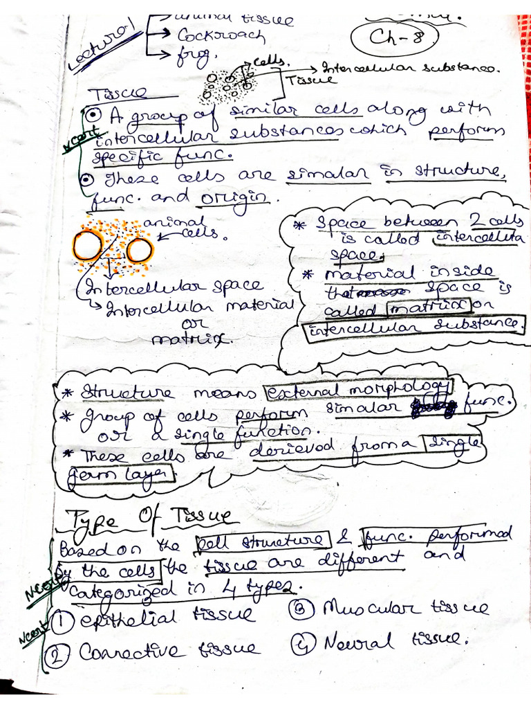 Nomesh Sir PW Dropper Yakeen 2 | PDF