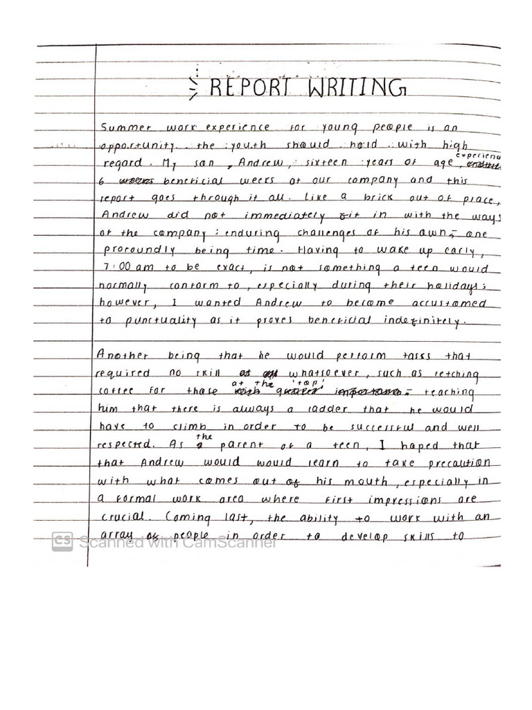 Model Answer 2 - Report Writing | PDF