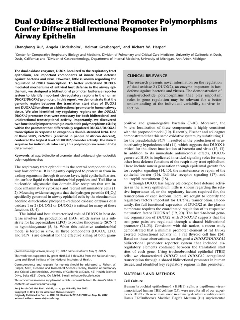 Xu Et Al 2012 Dual Oxidase 2 Bidirectional Promoter Polymorphisms ...
