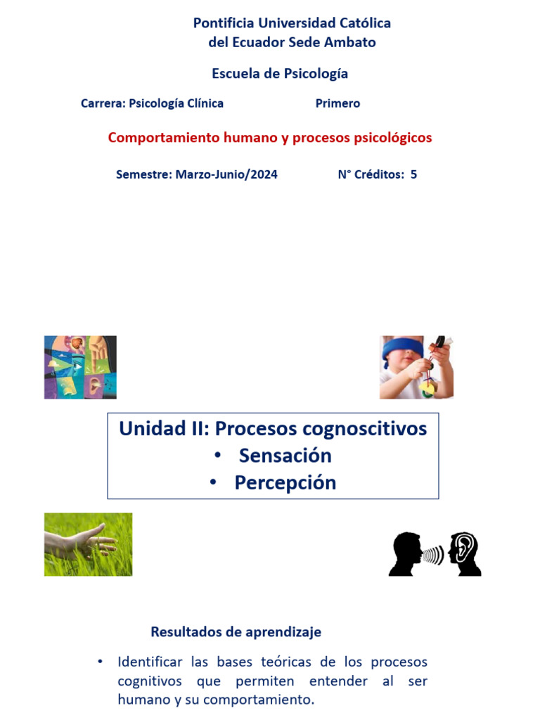 Clase 2 Sensaciones y Percepciones | PDF | Percepción | Sentidos