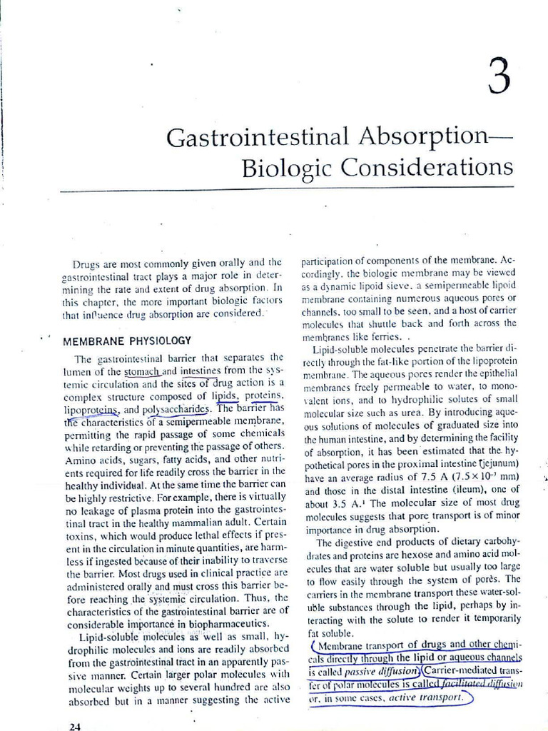 Chapter 3 | PDF | Small Intestine | Gastrointestinal Tract