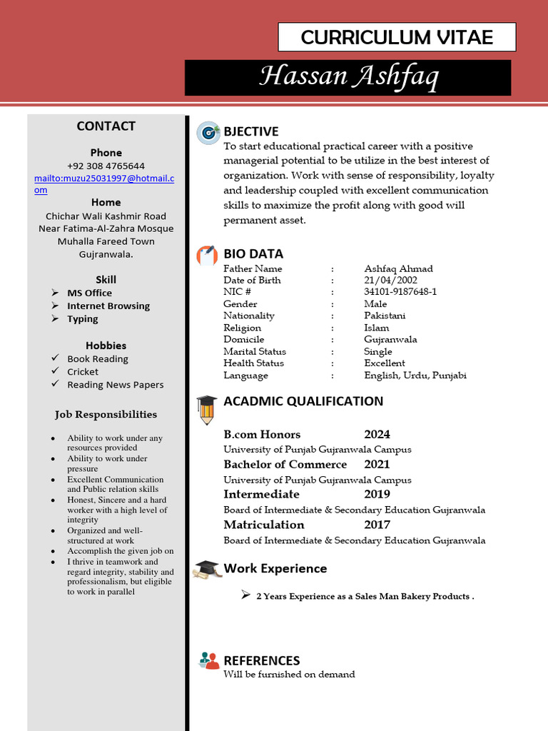 Hassan Gujranwala CV Sample | PDF
