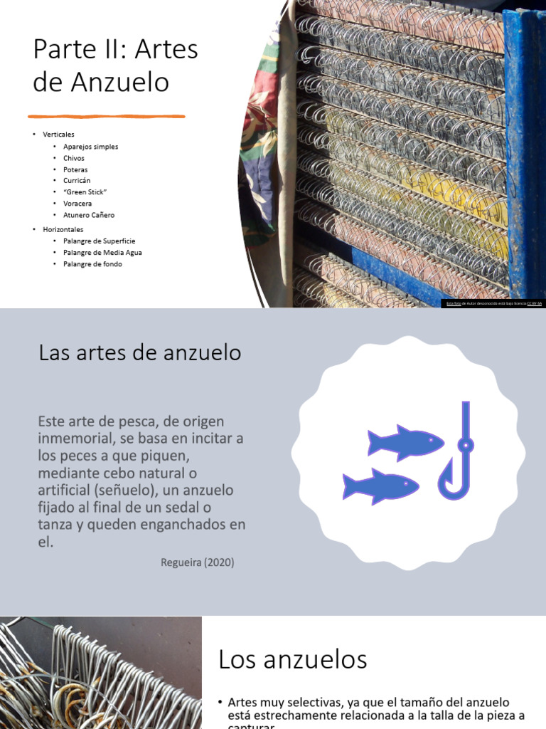 RA3 (II) Anzuelo | PDF | Pescado