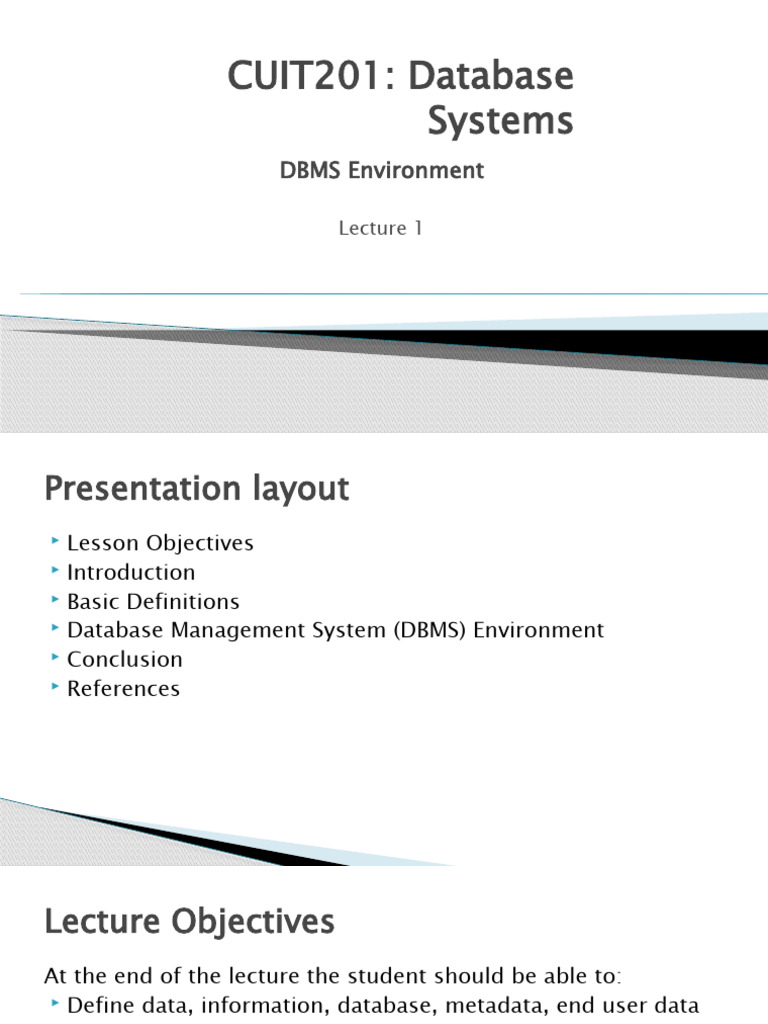 Lecture 1-Introduction | PDF | Databases | Operating System