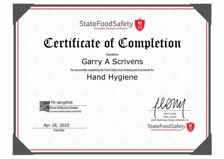 Food Safety Focus Series Hand Hygiene | PDF