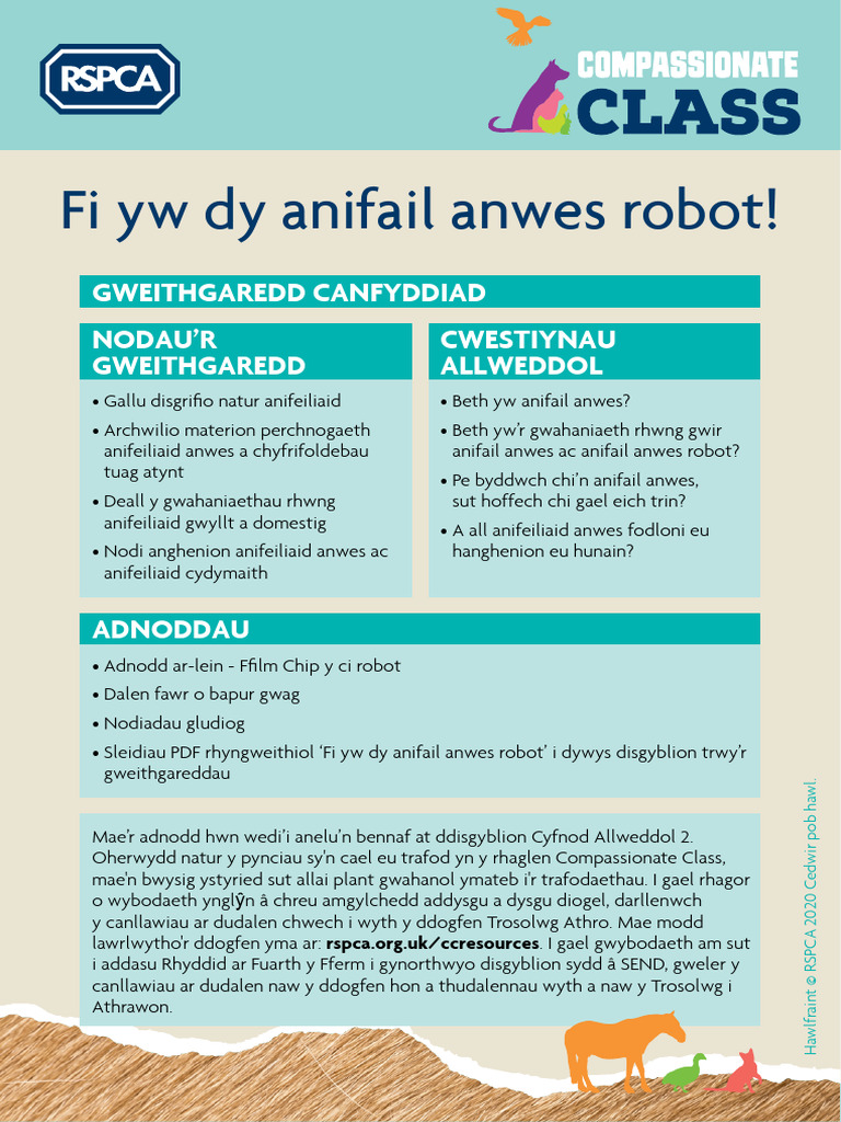 Caring For Pets Student Slides (Welsh) | PDF
