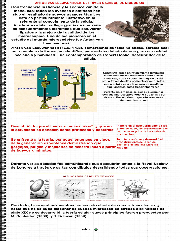 Leeuwenhoe, Primer Cazador de Microbios | PDF | Microscopio | Microscopía Leeuwenhoe, Primer Cazador de Microbios | PDF | Microscopio | Microscopía