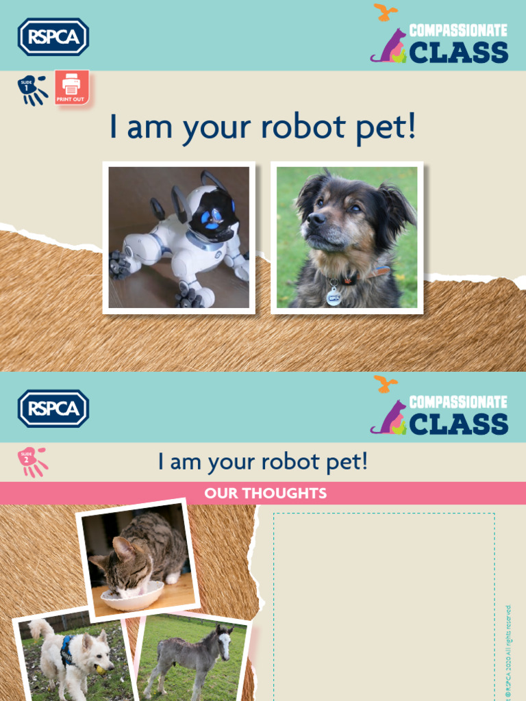 Caring For Pets Student Slides | PDF | Pet | Robot