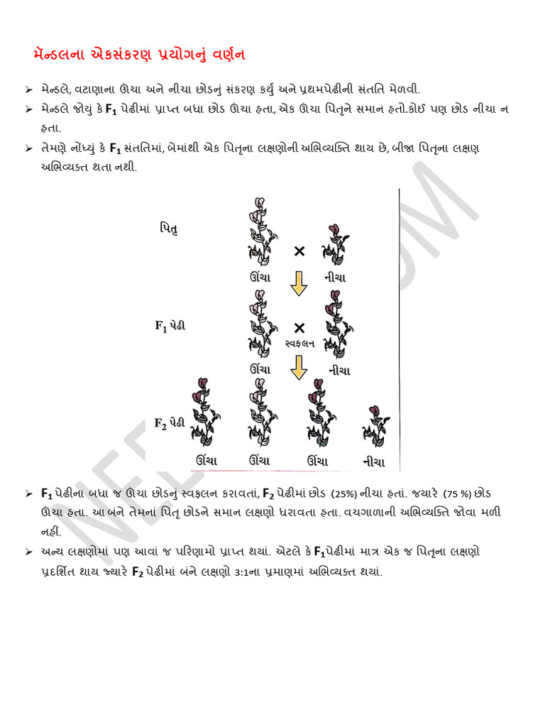 STD 12 CH 5 Bio | PDF