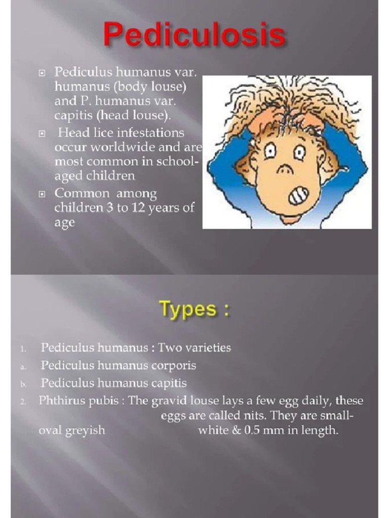 Pediculosis | PDF