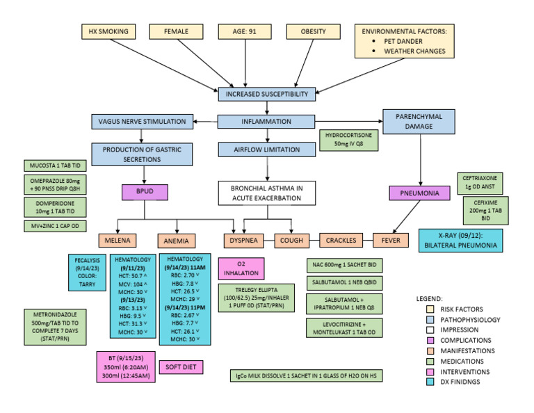 Asthma concept map | Download Free PDF | Pulmonology | Respiratory Diseases