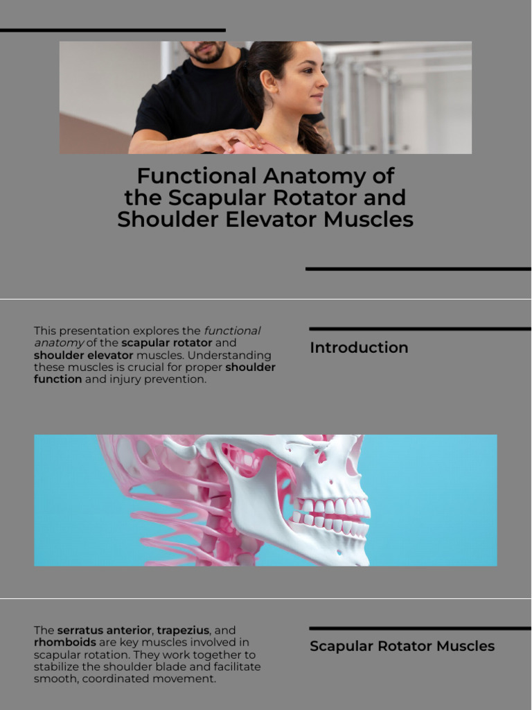 Slidesgo Functional Anatomy of The Scapular Rotator and Shoulder ...