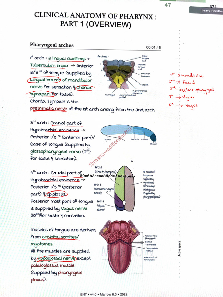 Ent Ed6 @marrowedition6notes - 2 | PDF