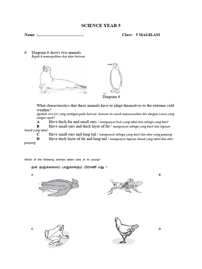SCIENCE YEAR 5 OGOS | PDF