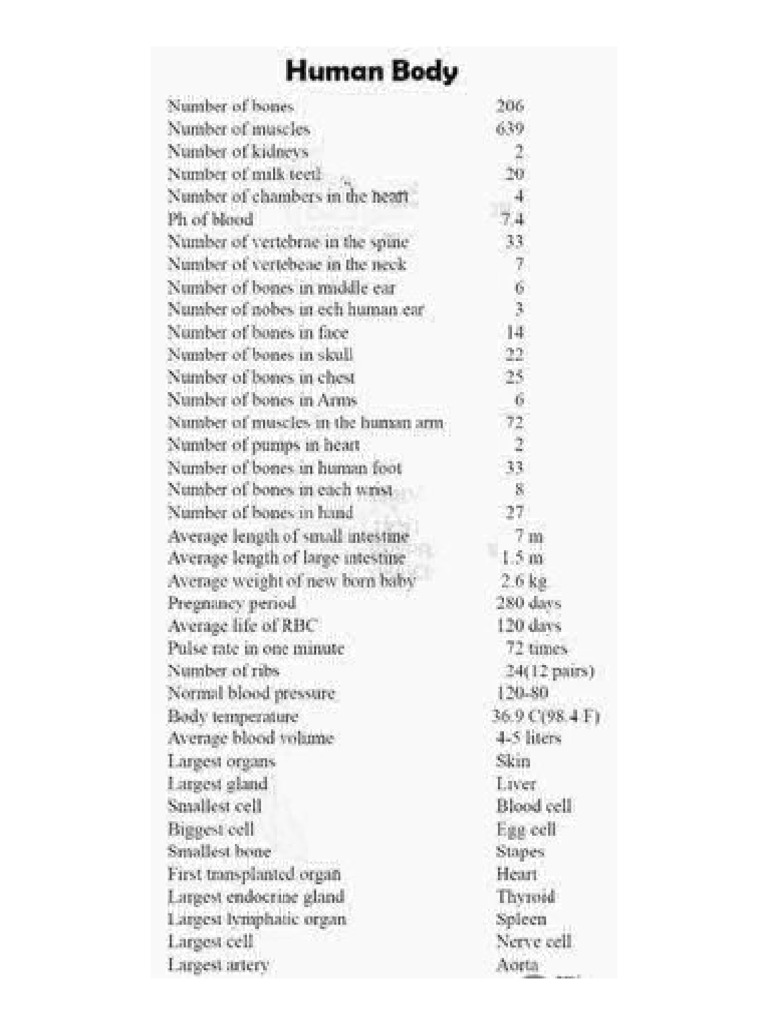 Human Body | PDF