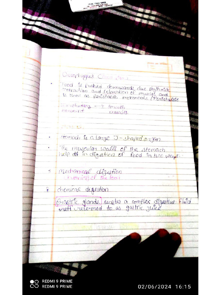 notes of bio chapter 1 light process class 10 | PDF