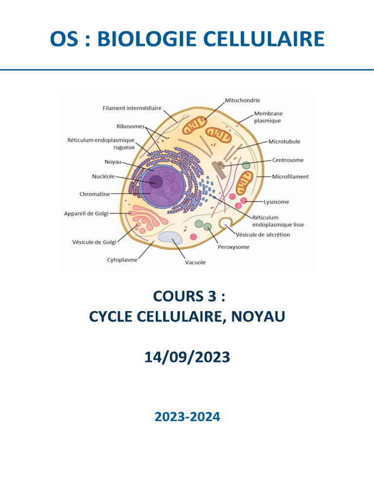 Cours 3 Os Biologie Cellulaire 2023-2024-93806 | PDF